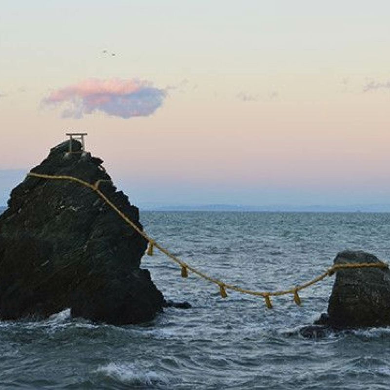 岩戸の塩の商品ページ|WELLC公式オンラインストア